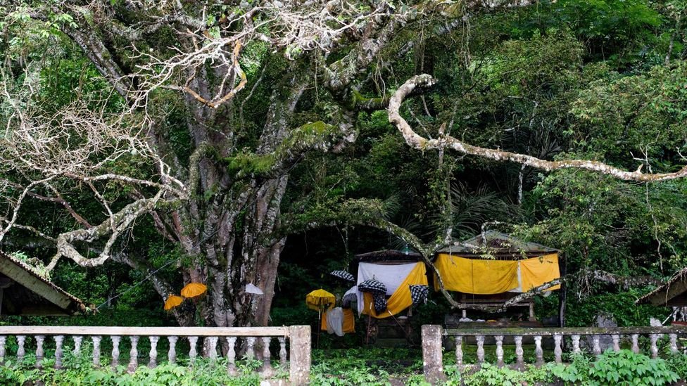 Trunyan Village - Bali Lovely Trip